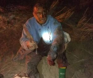 Man Vs Mountain Lion (Who Would Win In A Fight?) - Animal World Facts